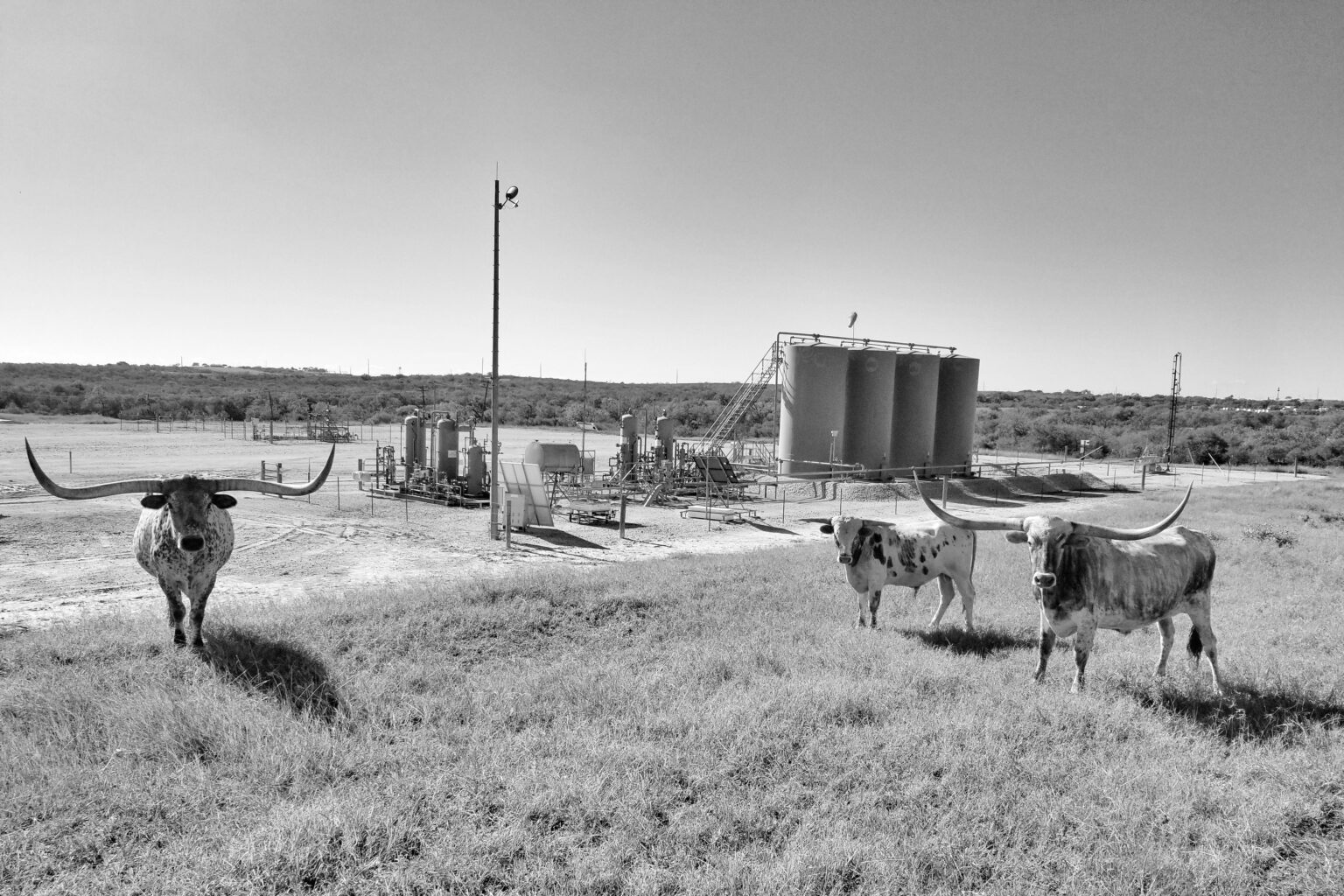 A Guide to Leasing Mineral Rights – Retama Minerals